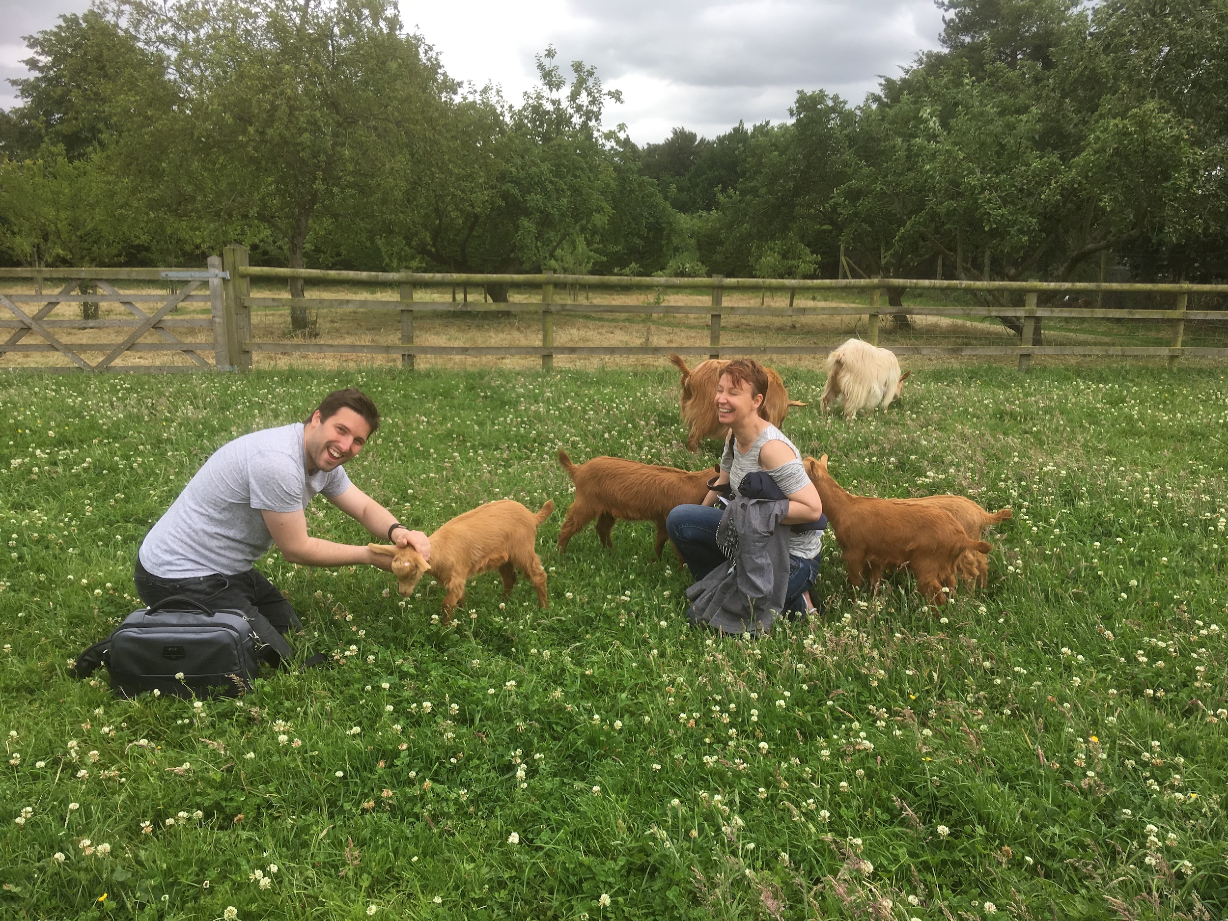 Ellicar Blog | On Goat Fever: Musings of an infatuated Goat Keeper