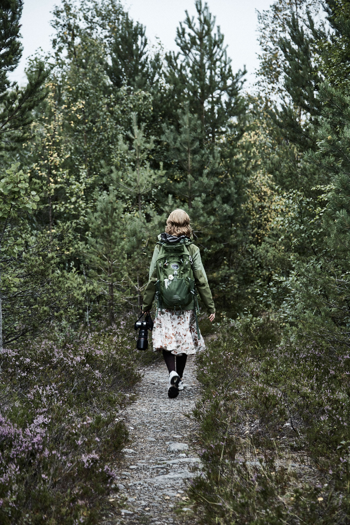 Destination Sundsvall