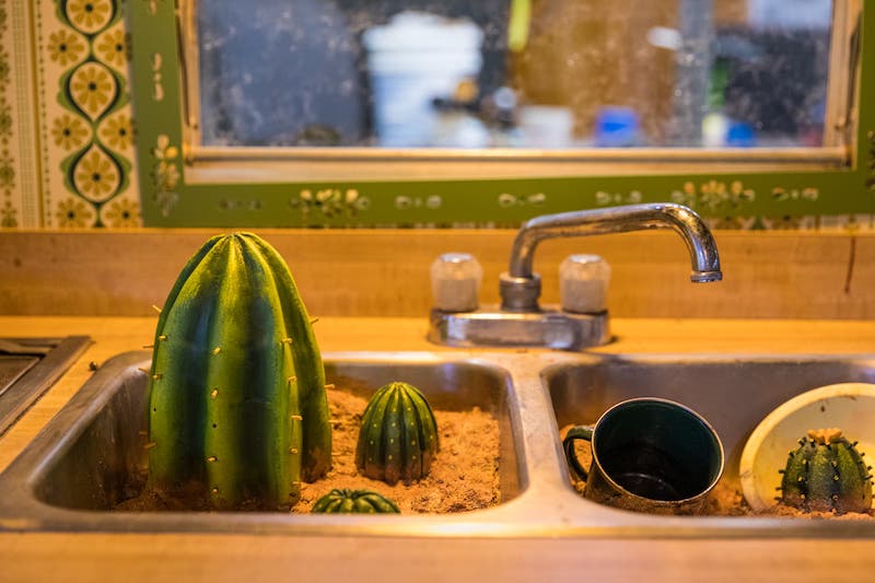 The Real Unreal | Get Tickets | Meow Wolf Grapevine