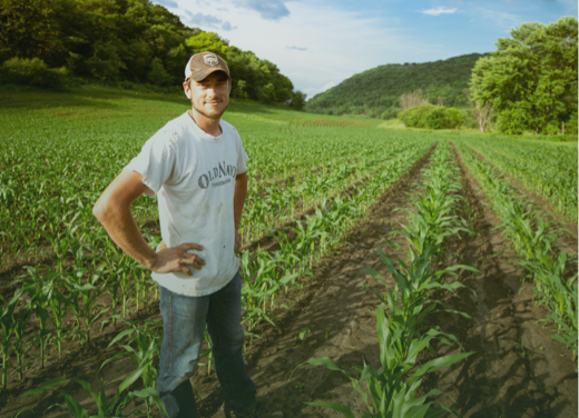 Kweek | Soluciones innovadoras para nutrición vegetal