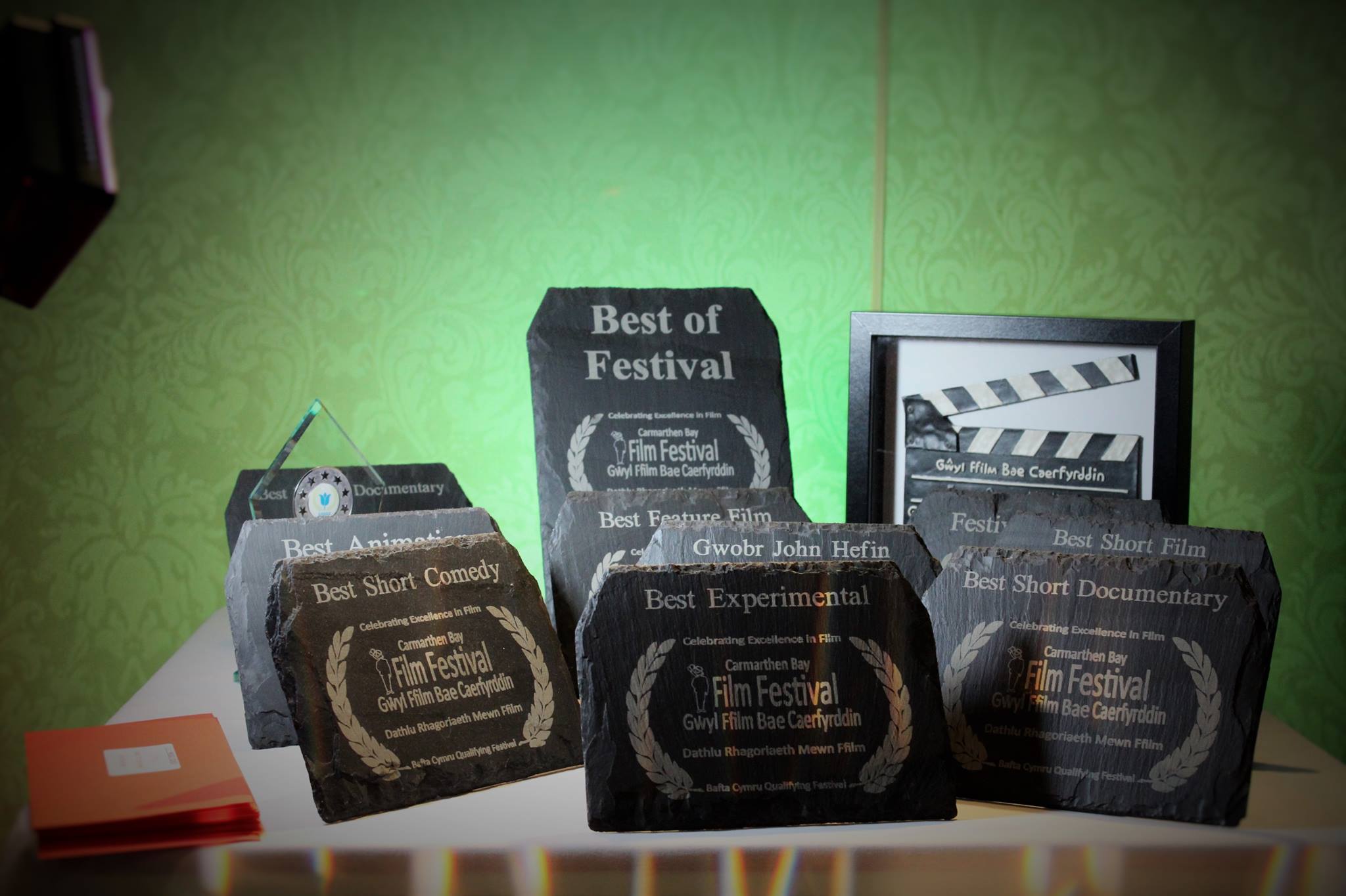 Photo and Video Gallery- Carmarthen Bay Film Festival