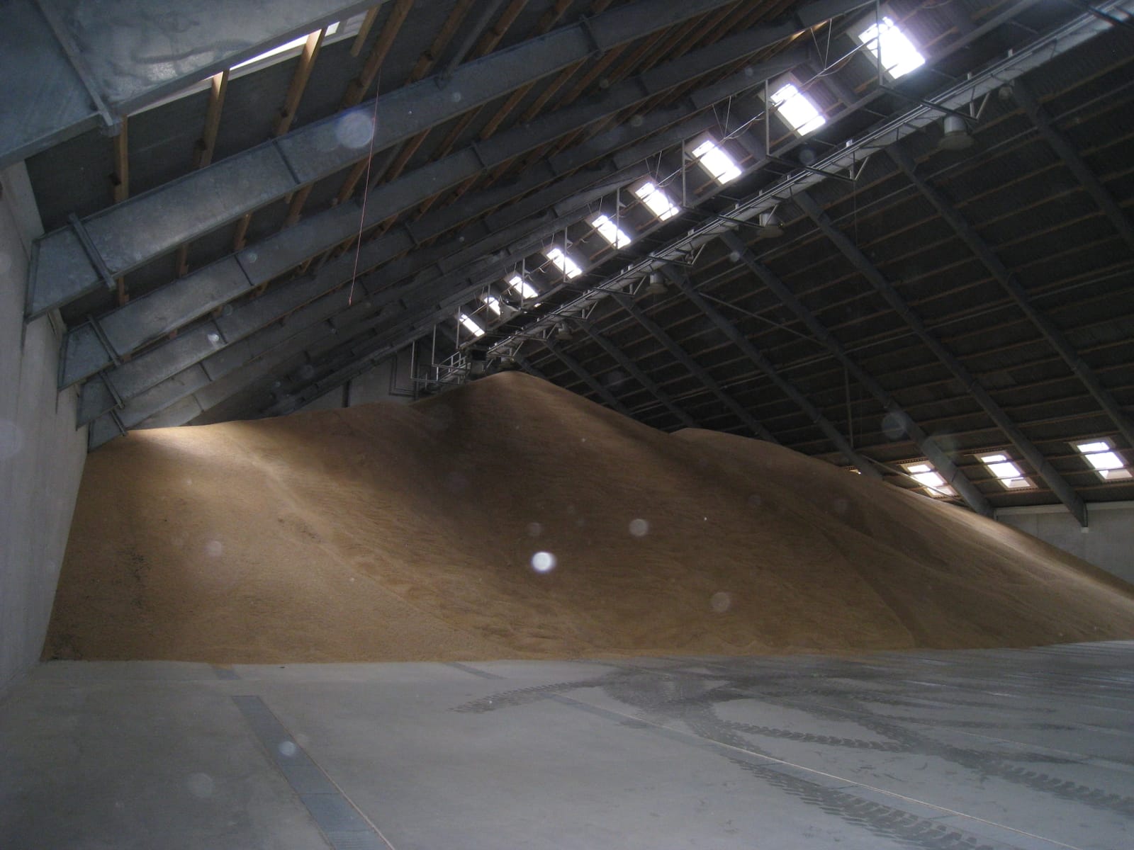 Flat Storage | Lachenmeier Monsun