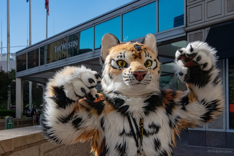 What is a Furry Artist and How to Become One | Article | Adultist