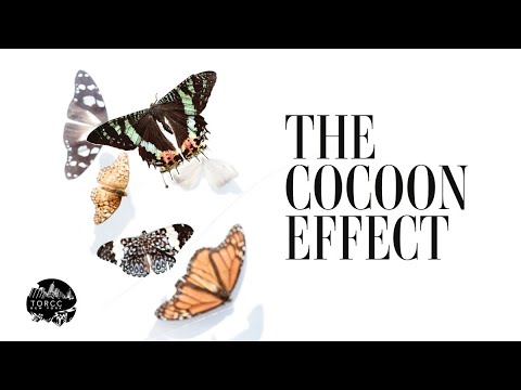 TORCC | "The Cocoon Effect" | Dr. Tony Kassas