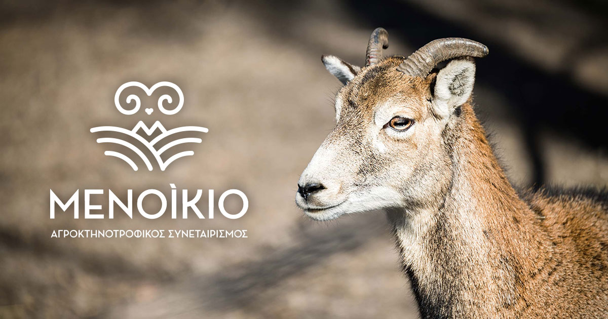 ΜΕΝΟΙΚΙΟ - Γαλακτοκομικά και τυροκομικά προϊόντα