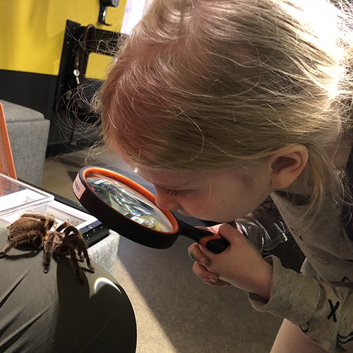 The Logan School for Creative Learning: Student Program