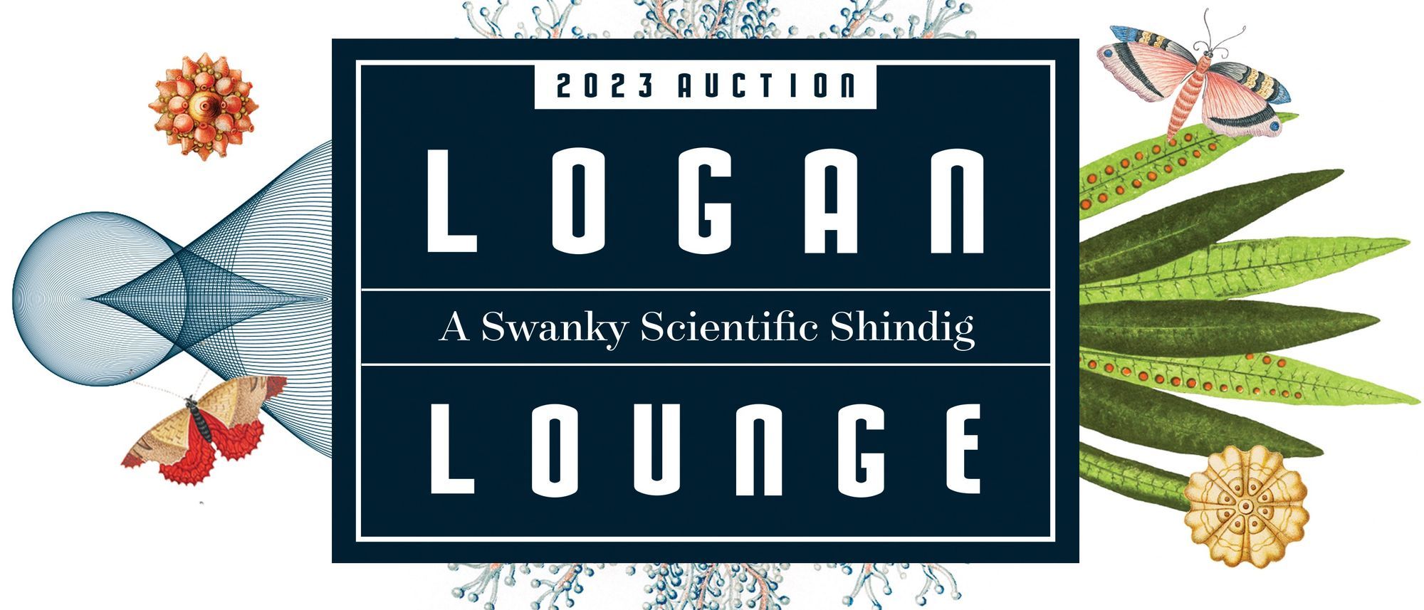 The Logan School for Creative Learning