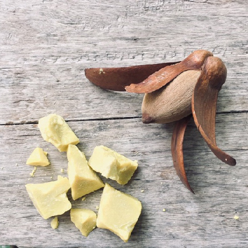 Forestwise - 1/8/2019 Organic certified Illipe butter available!