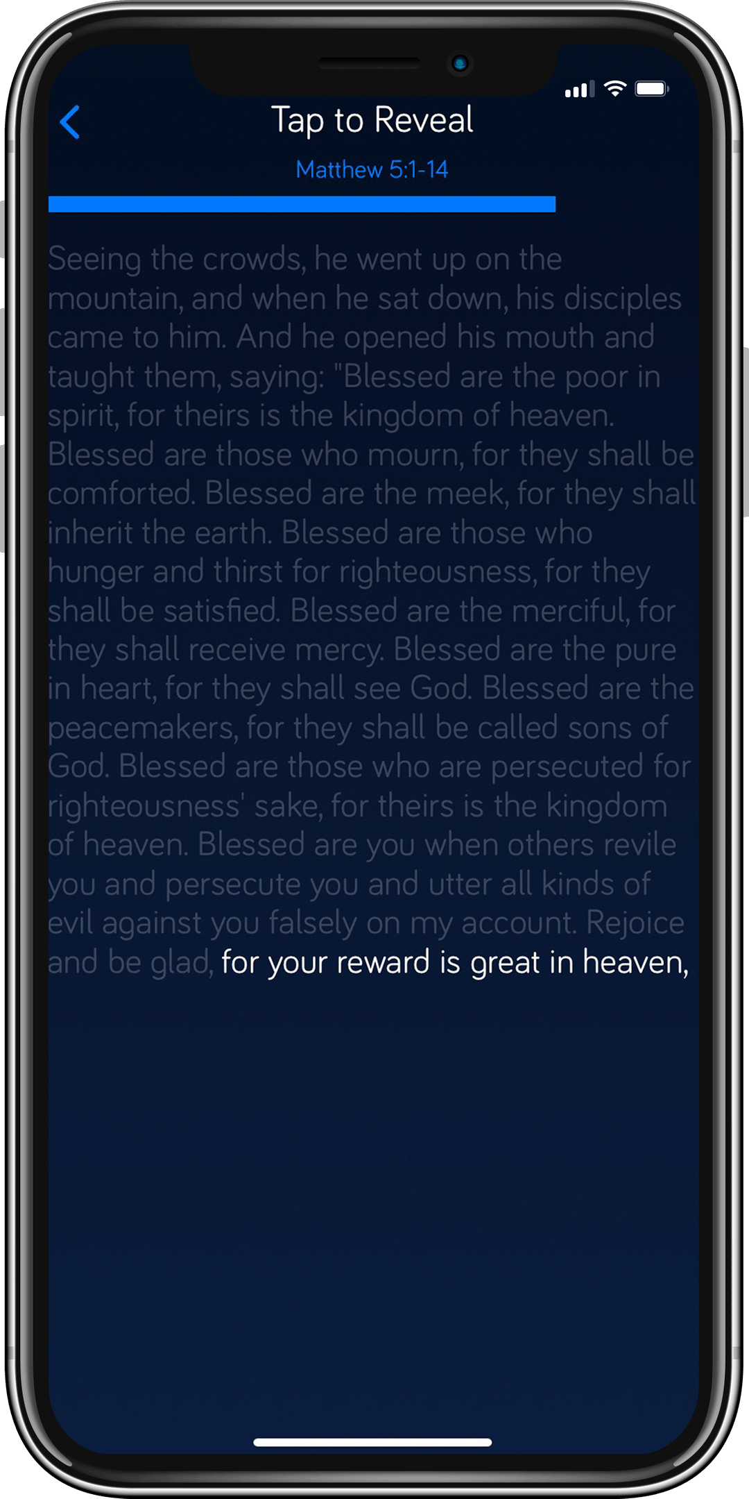 Verses: Bible Memory App