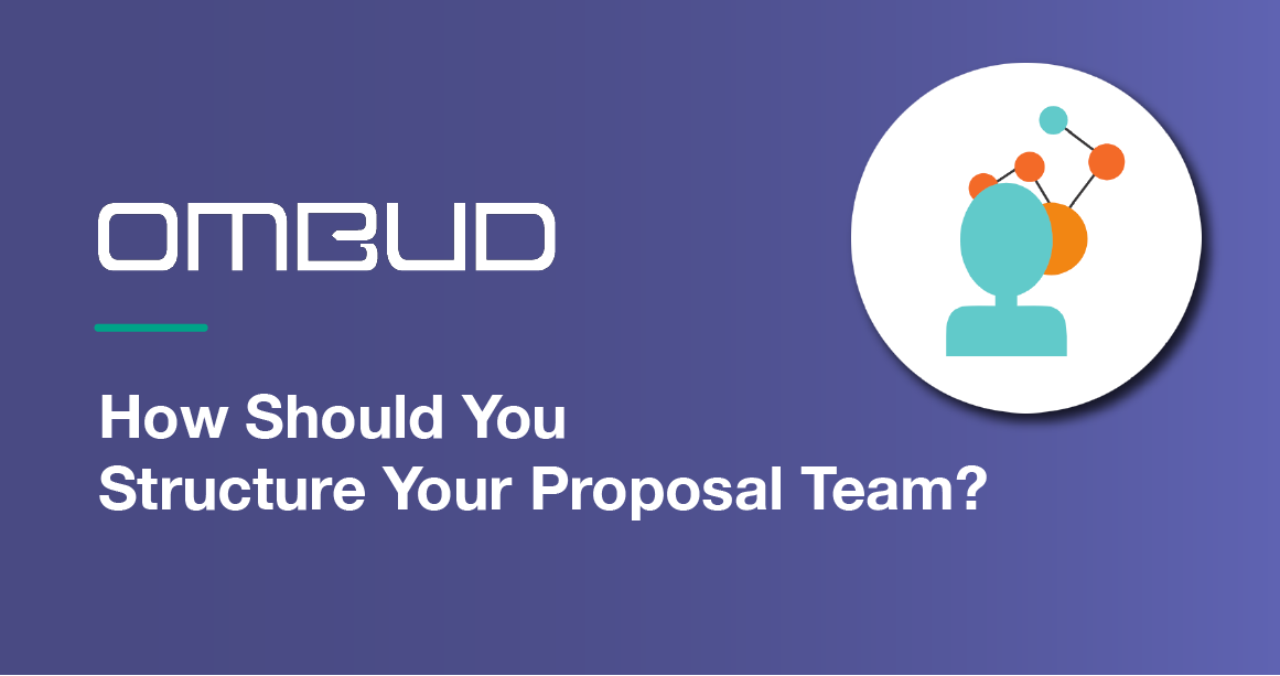 How Should You Structure Your Proposal Team? | The OmBlog