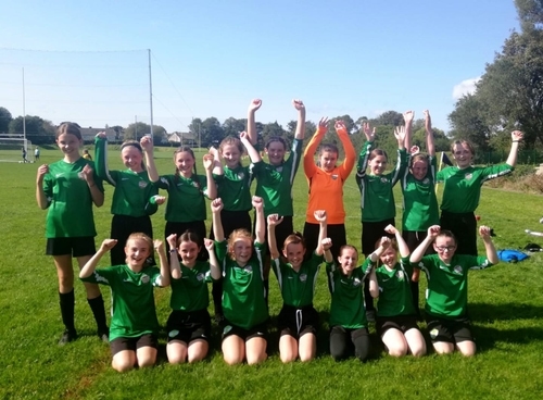 The Home of Greystones United AFC