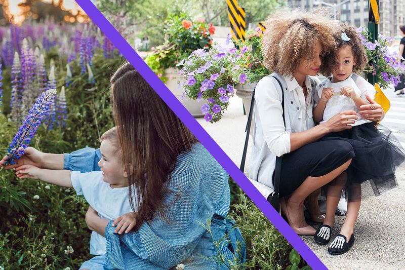 Are you a Silky, Crunchy or Scrunchy Mom? — Chelsea Method