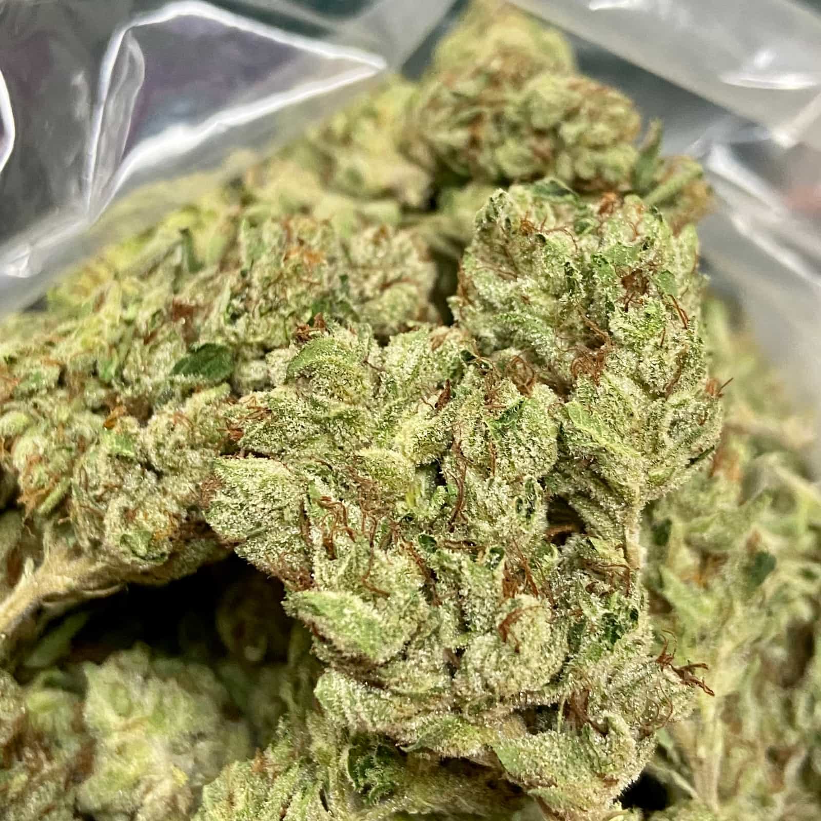 Flower Indica