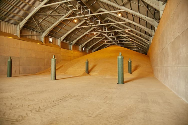 Richard Utting Associates | Two new fully automated grain store ...