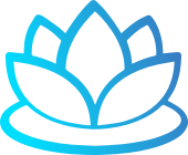 Fluence - Psychedelic Training