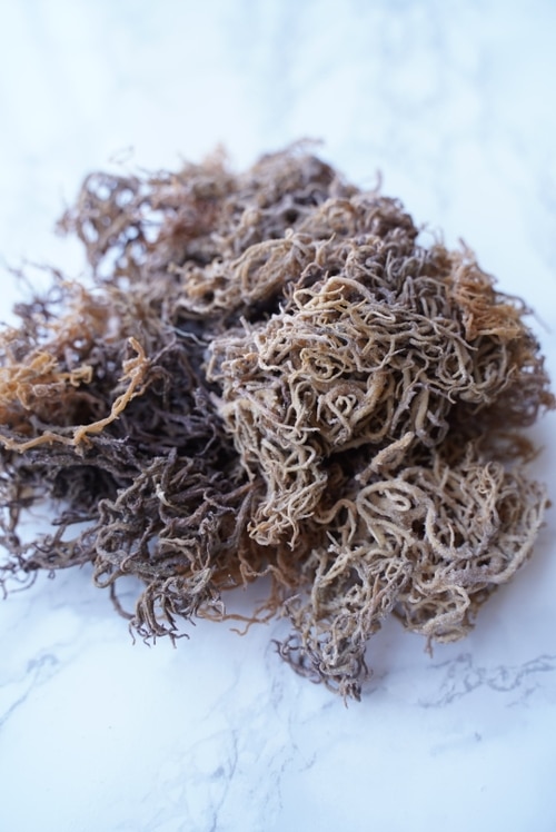 Real vs Fake Sea Moss