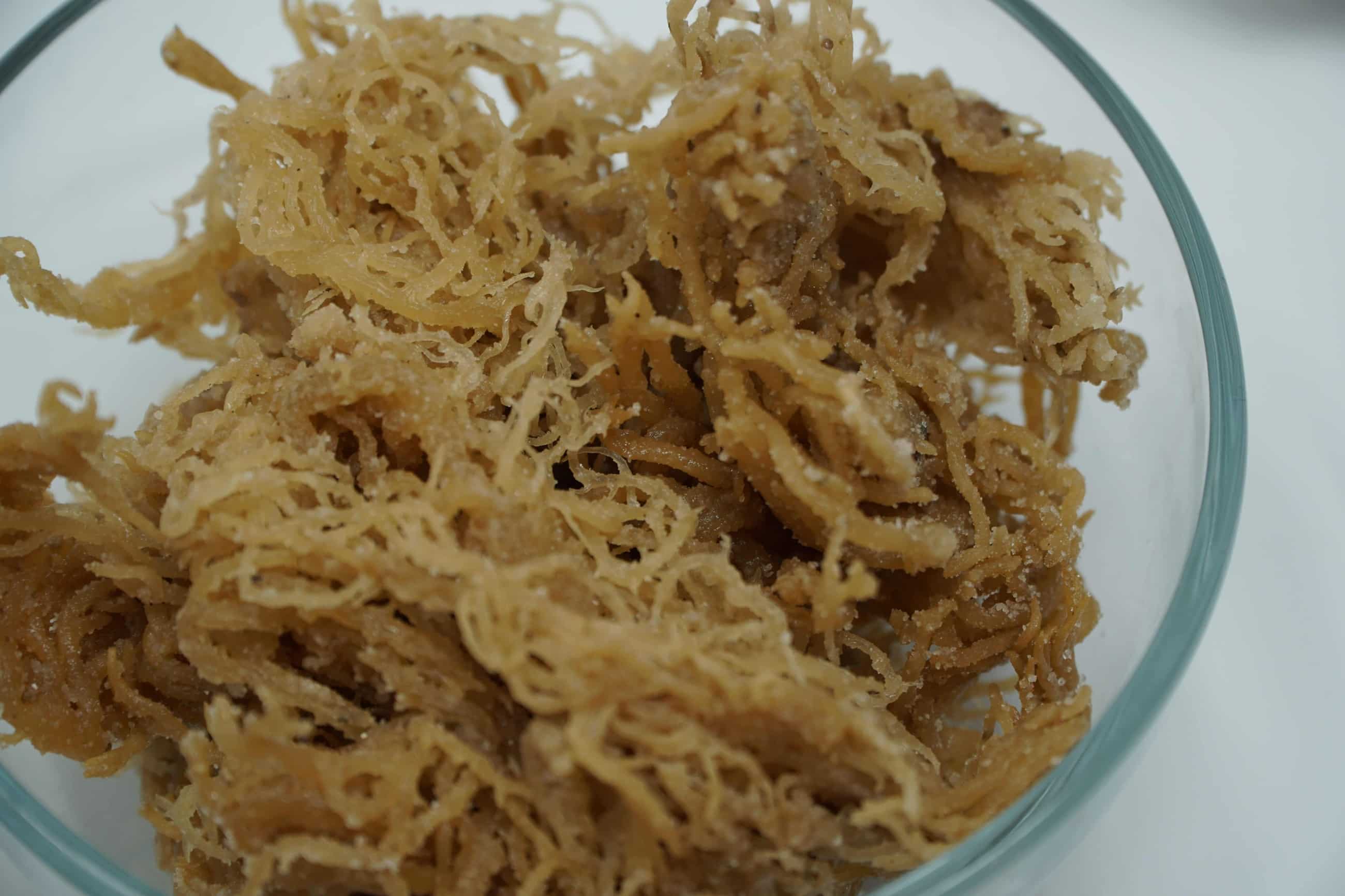 Real vs Fake Sea Moss
