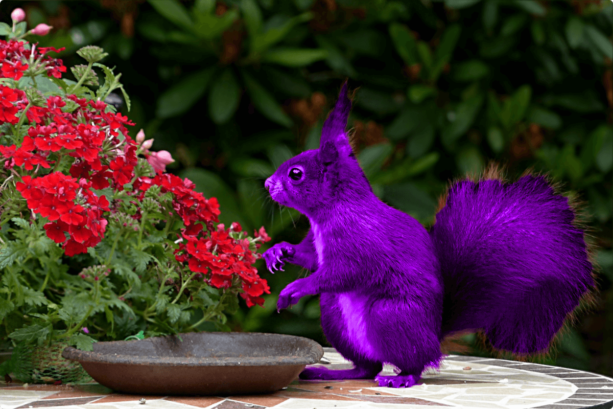 Creating a Sense of Belonging In The Interview Process: A Focus On ...