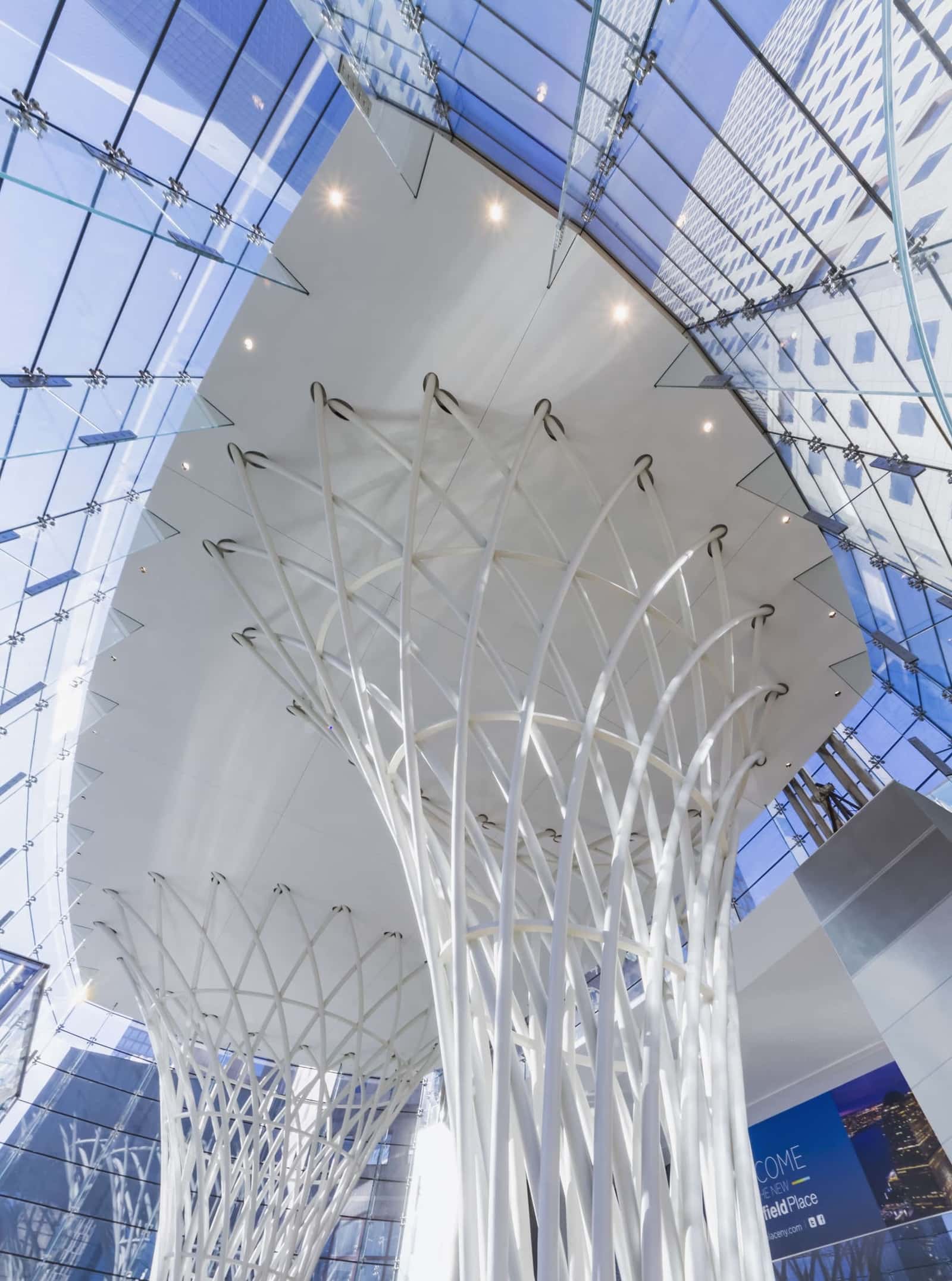 Commercial Sound Absorbing Acoustic Plaster | BASWA Phon