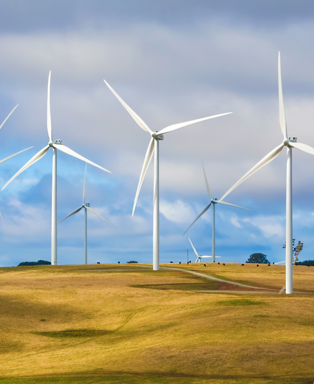 Kilara | Creating investment opportunities on the path towards a zero ...