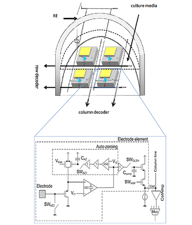 Microelectrode Array (MEA)