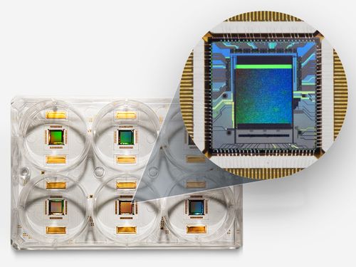 Microelectrode Array (MEA)