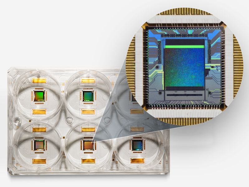 Microelectrode Array (MEA)
