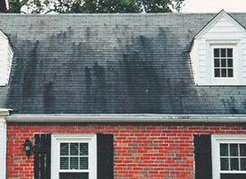 Shingles Roof Repair | Roof Squad