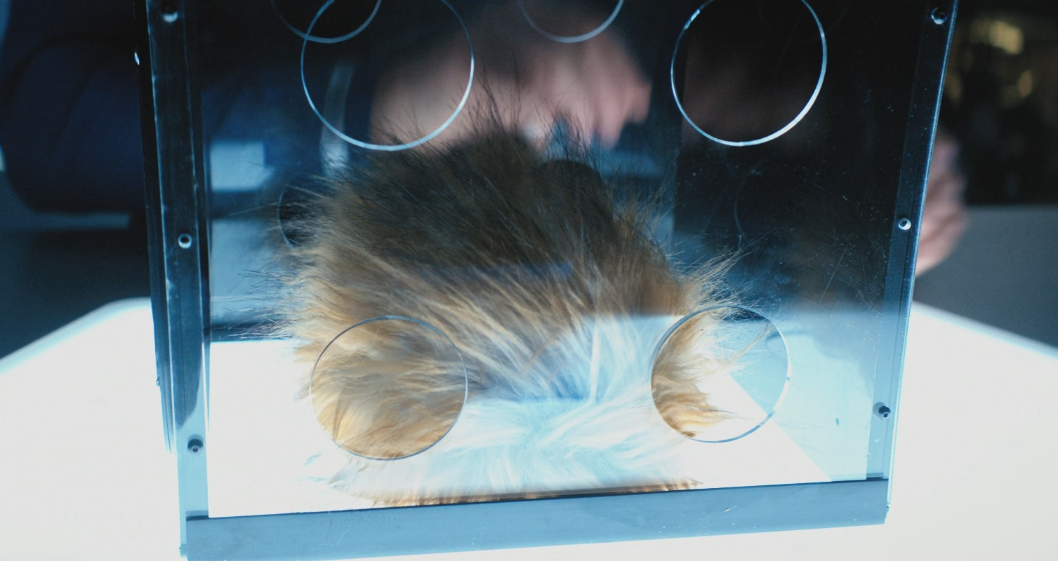 Tribbles - Star Trek: Discovery | Tiffany Pang