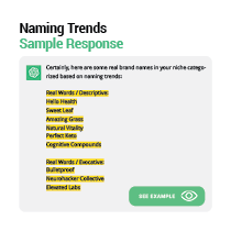 The Naming Guide—A proven process to brand naming.