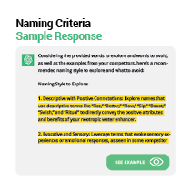 The Naming Guide—A proven process to brand naming.