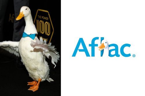 Top Mascot Designs of All Time