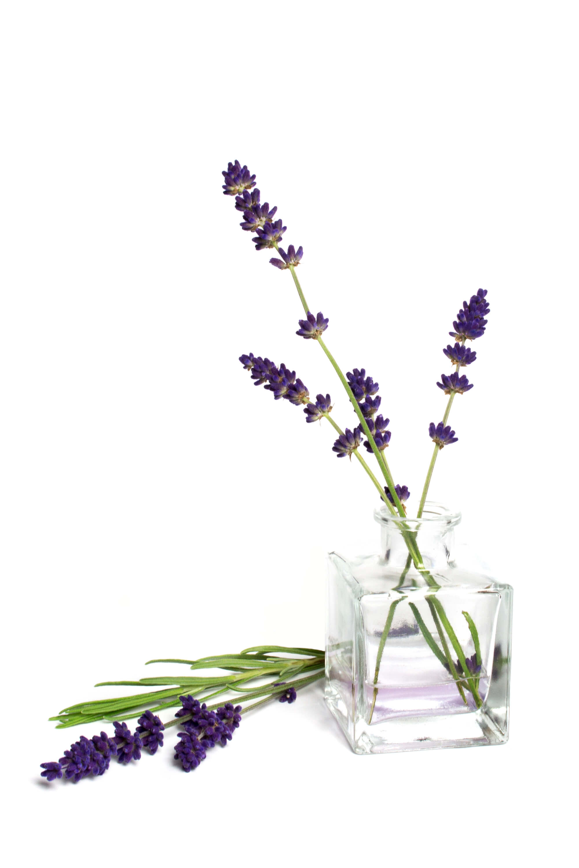 COST | Clear Counseling St. Louis | Therapy