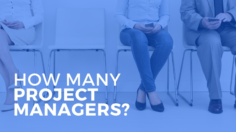 VantagePoint Blog: One or two Project Managers?