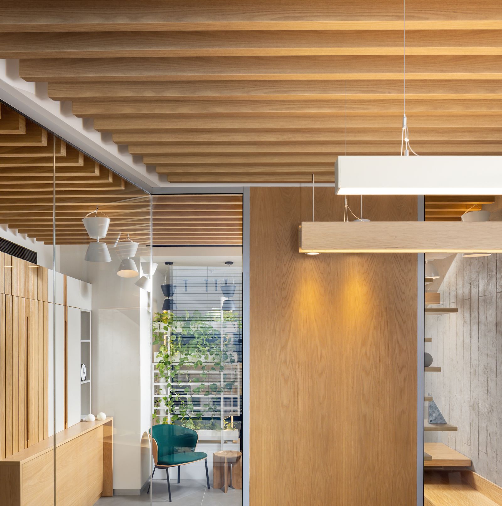 echoshape - GH Lawyer Office
