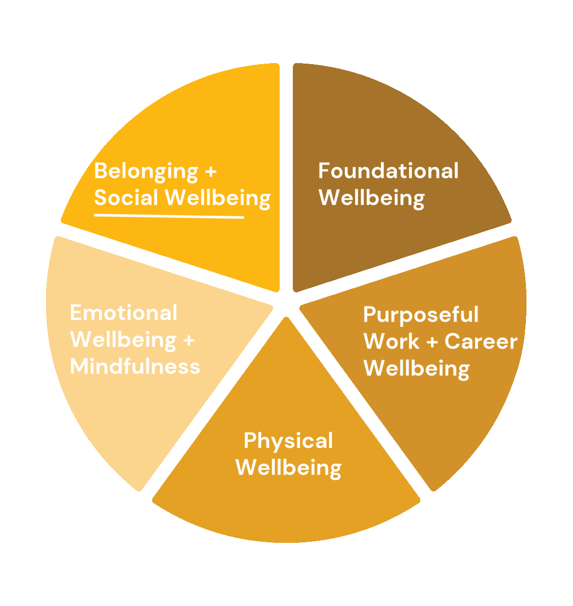 Wellbeing at Work Solution: WellbeingWx