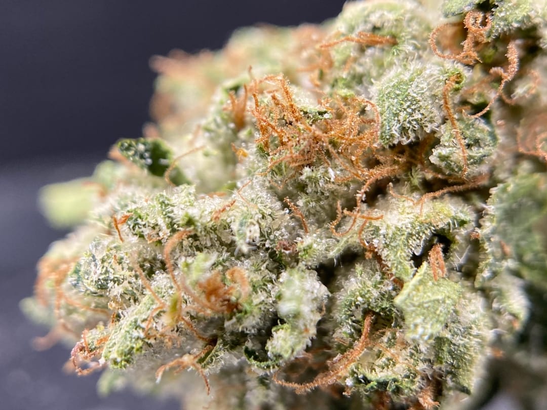 Flower Indica