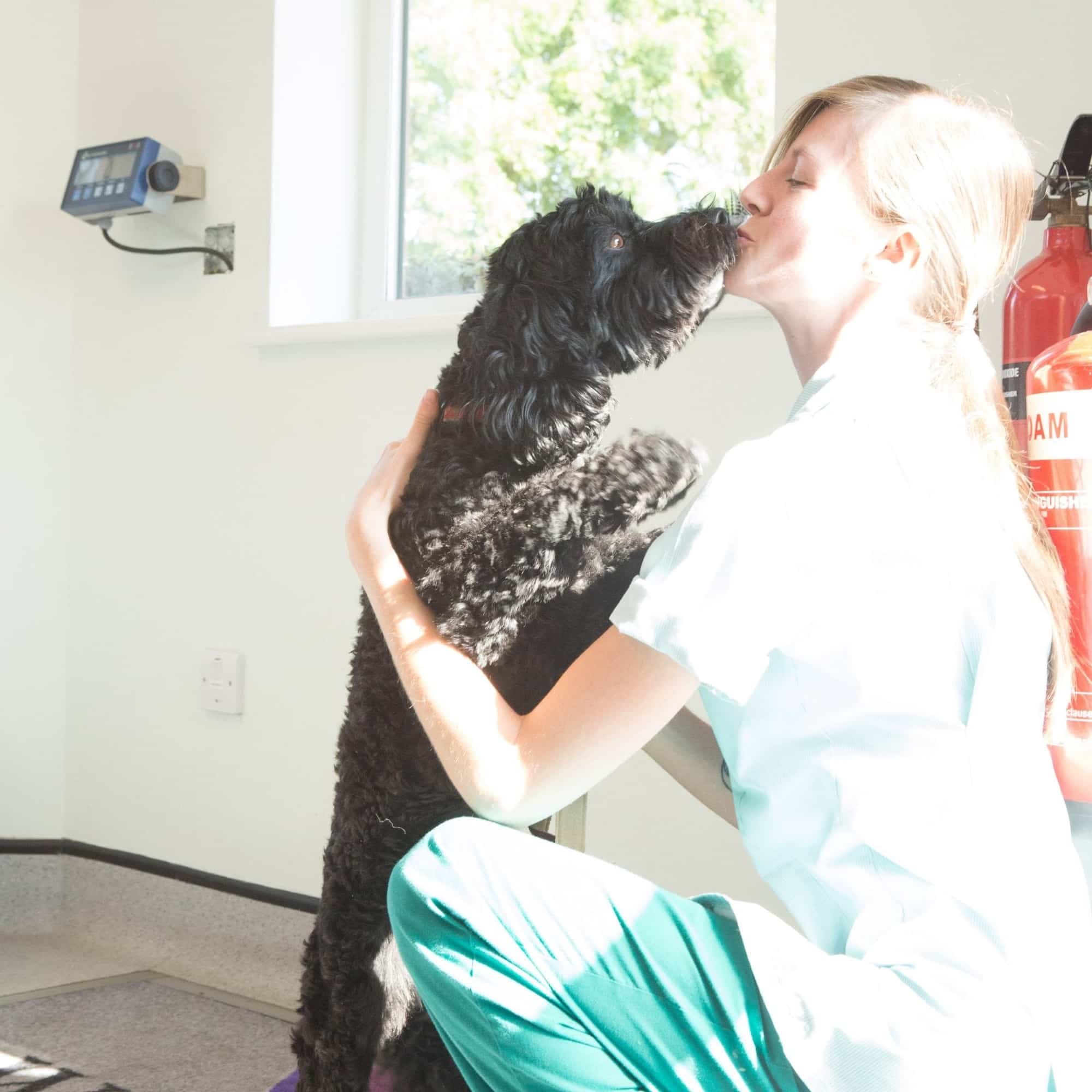 News - Vets in Upminster & Brentwood, Essex.