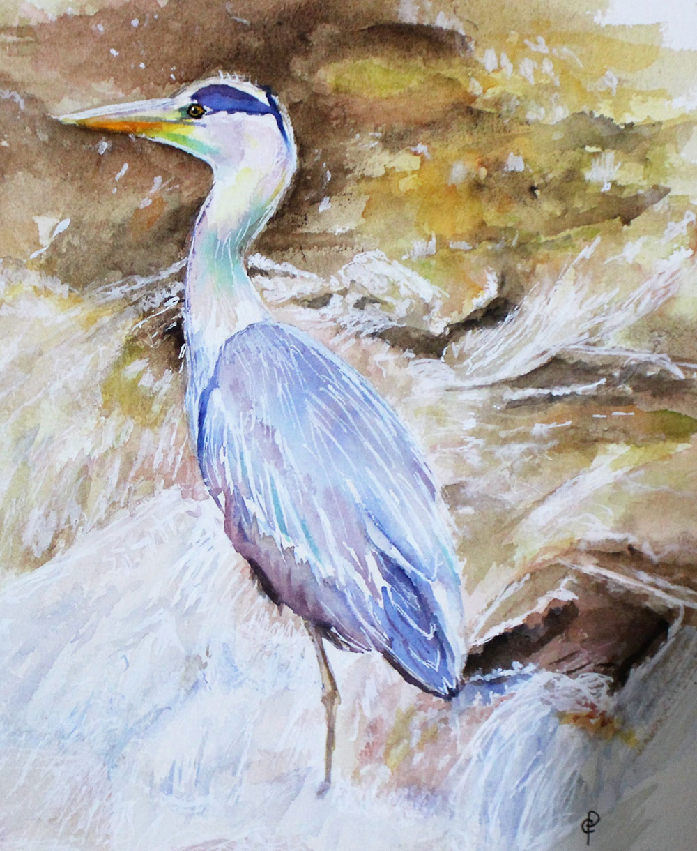 Christine Purdy's Artwork