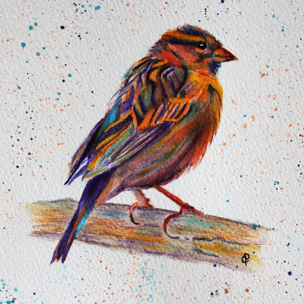 Christine Purdy's Artwork