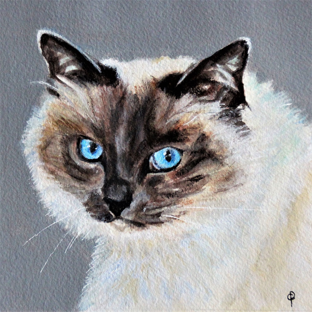 Christine Purdy's Artwork