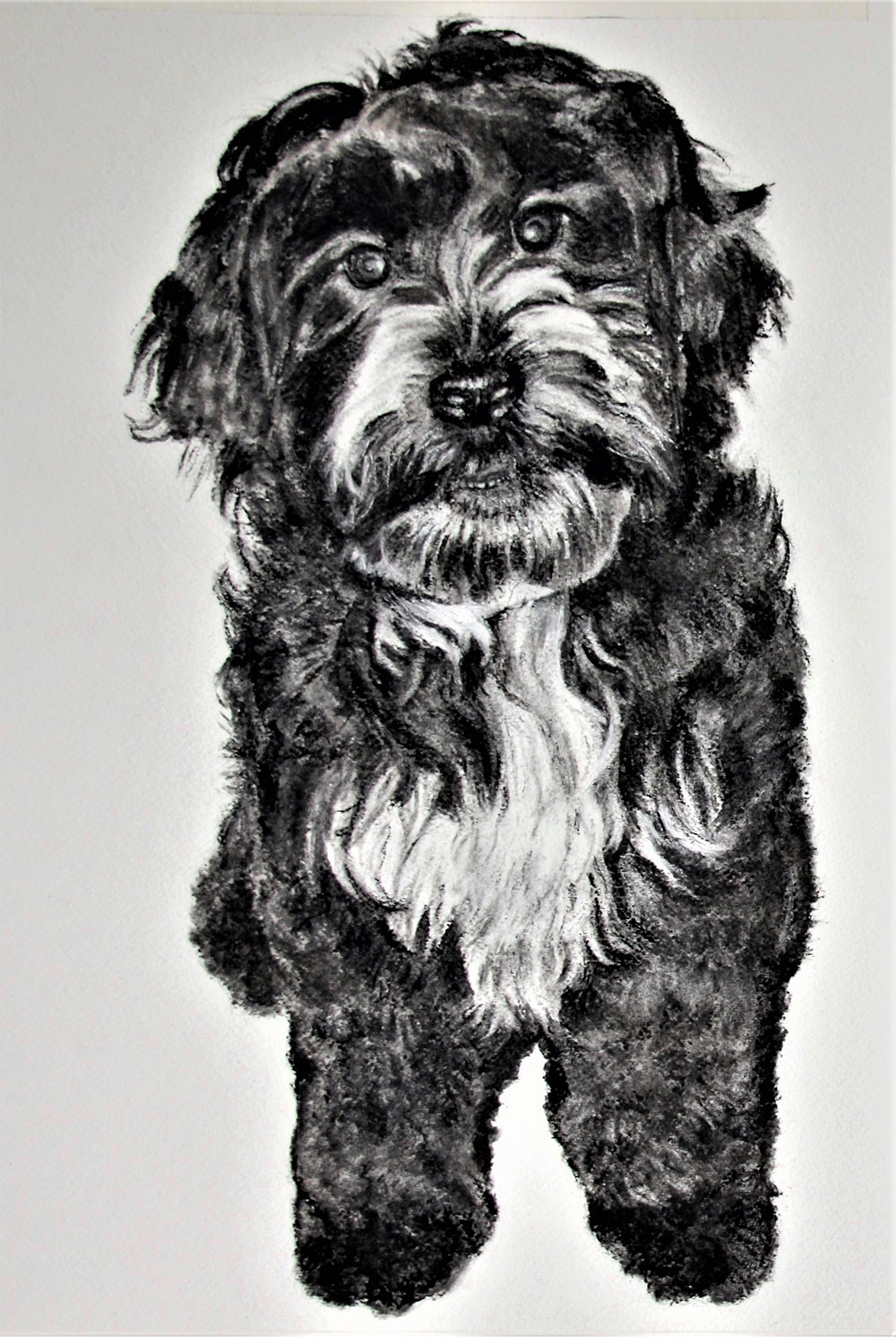 Christine Purdy's Artwork