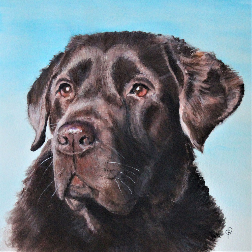 Christine Purdy's Artwork