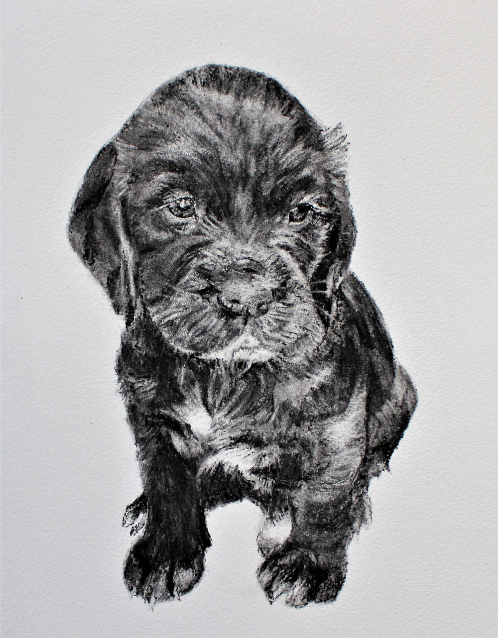 Christine Purdy's Artwork