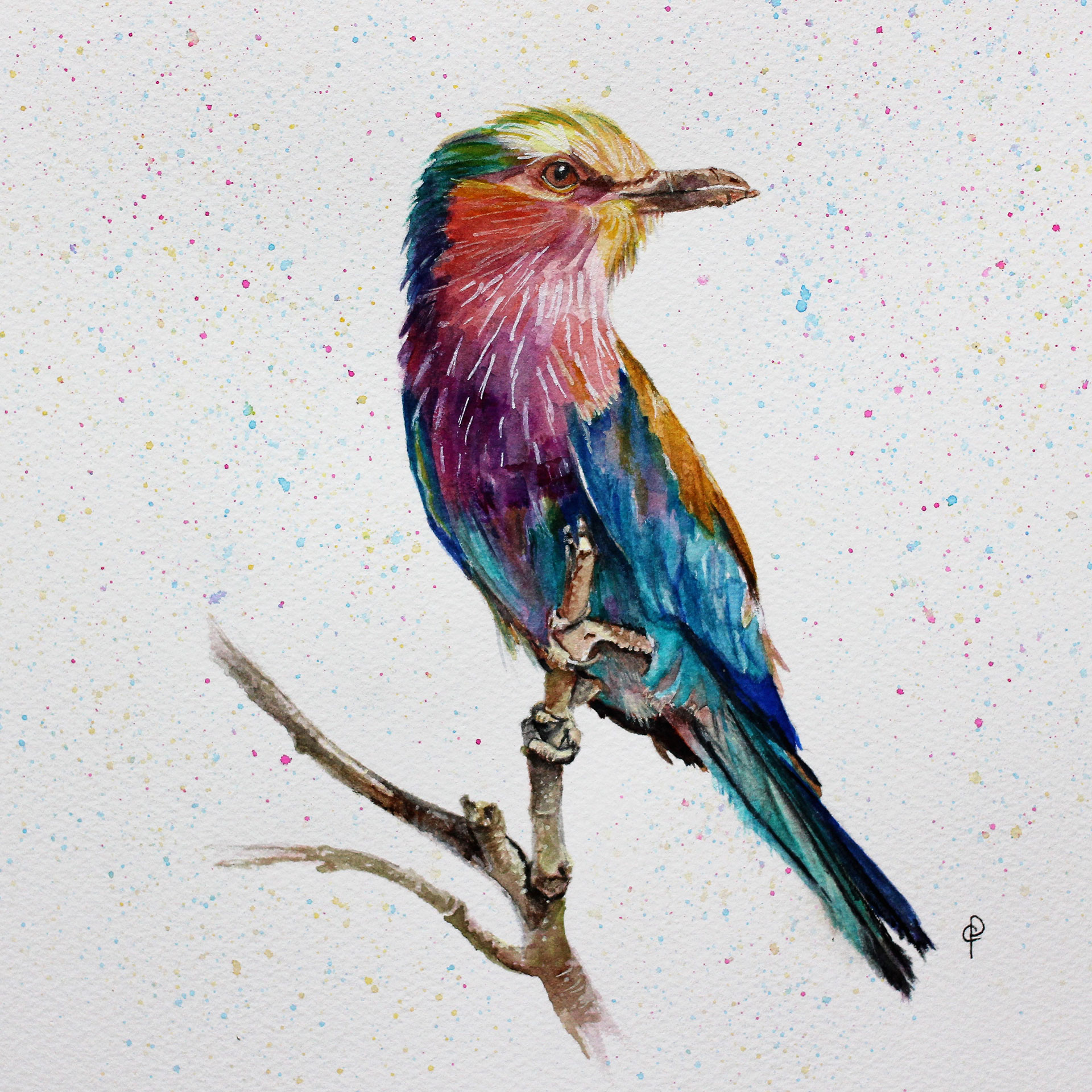 Christine Purdy's Artwork