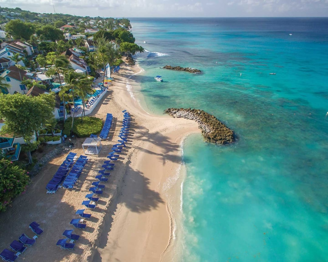 Barbados Wildlife Reserve & Grenade Hall Forest