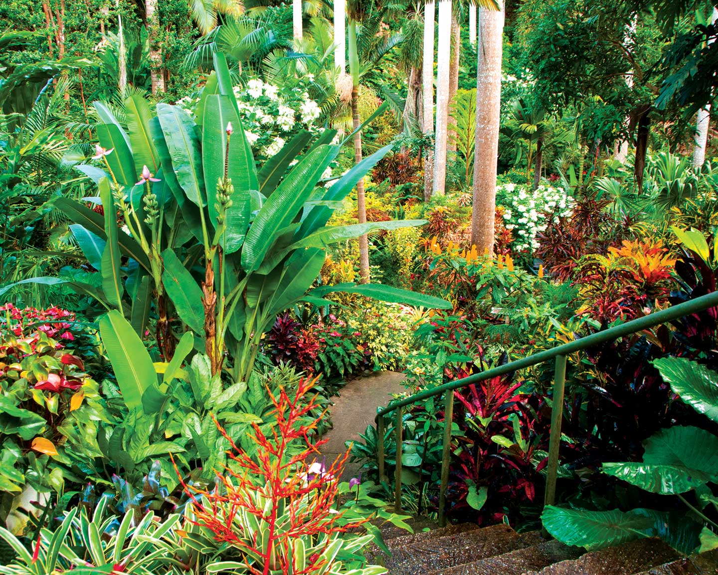 Gardens of Barbados