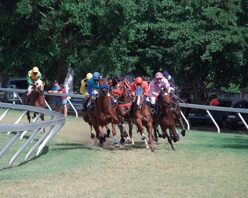 The Ins & Outs of Barbados