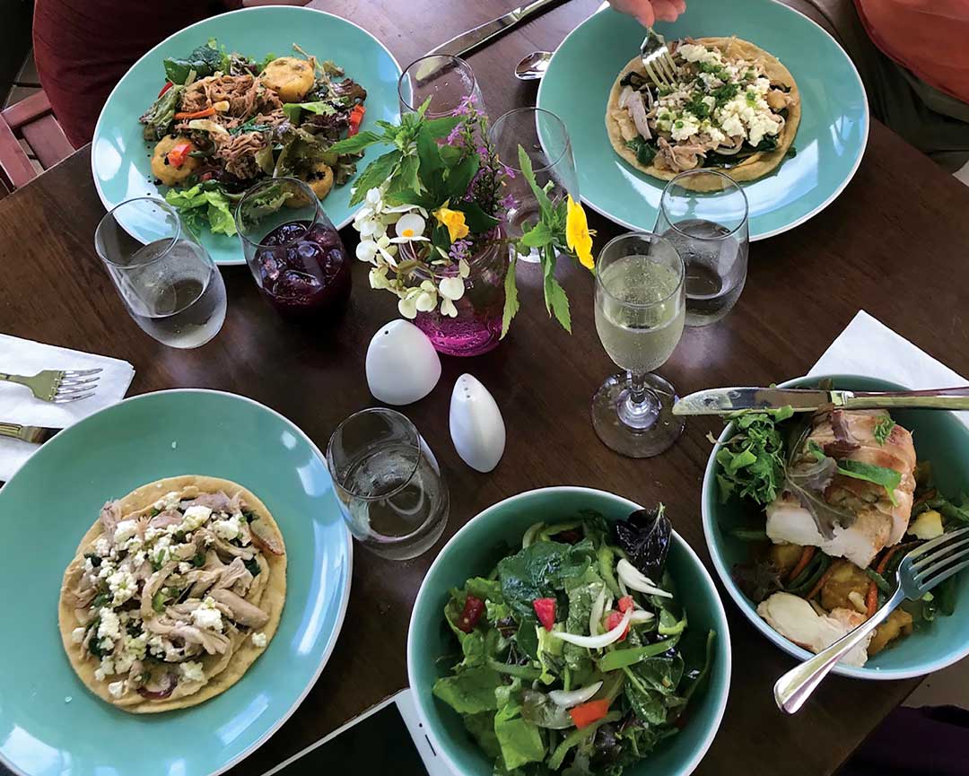 Farm House Café at Peg Farm & Nature Reserve