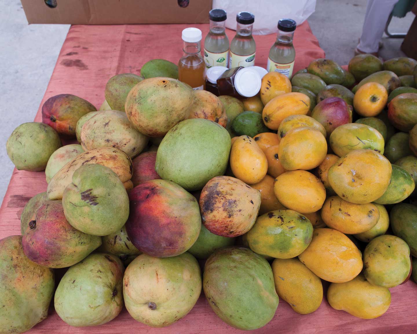 Bajan Food And Where to Find It | Ins and Outs of Barbados